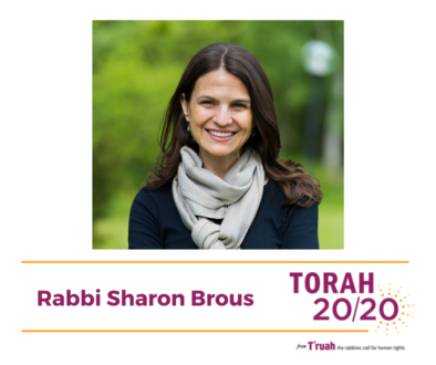 Discomposing Our Culture of Toxic Masculinity | T'ruah