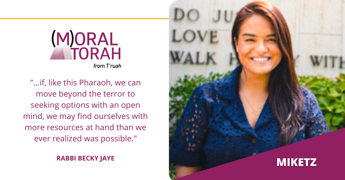 The Power of Dreams and Our Power to Create Prophecy | T'ruah