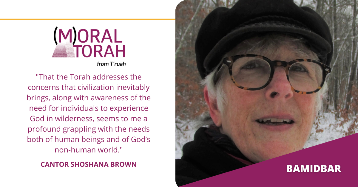 Bamidbar: Finding God in the Wilderness | T'ruah