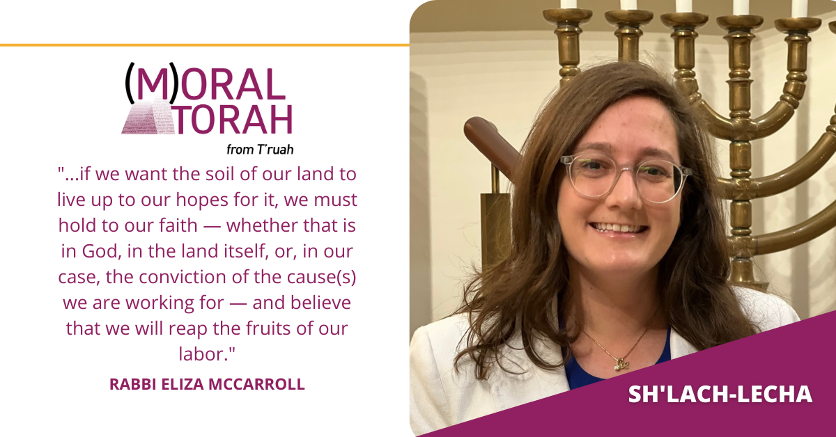 Sh’lach-Lecha: One Small Step, One Giant Leap | T'ruah